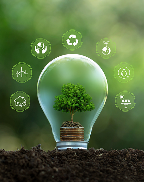 About us - Eco Solutions